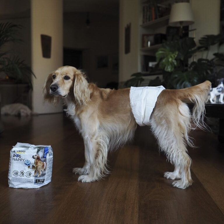 Pelene Za Muške Pse 40-50 Cm | Šape Pet Shop